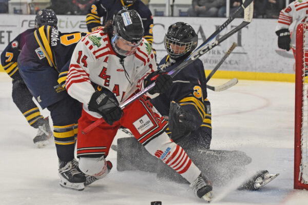 Muskoka Bears Jr C Hockey Team